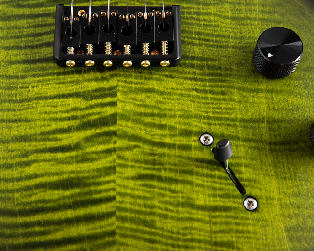 Paul Reed Smith DW CE 24 Hardtail Dustie Waring Signature Jade Smokebu