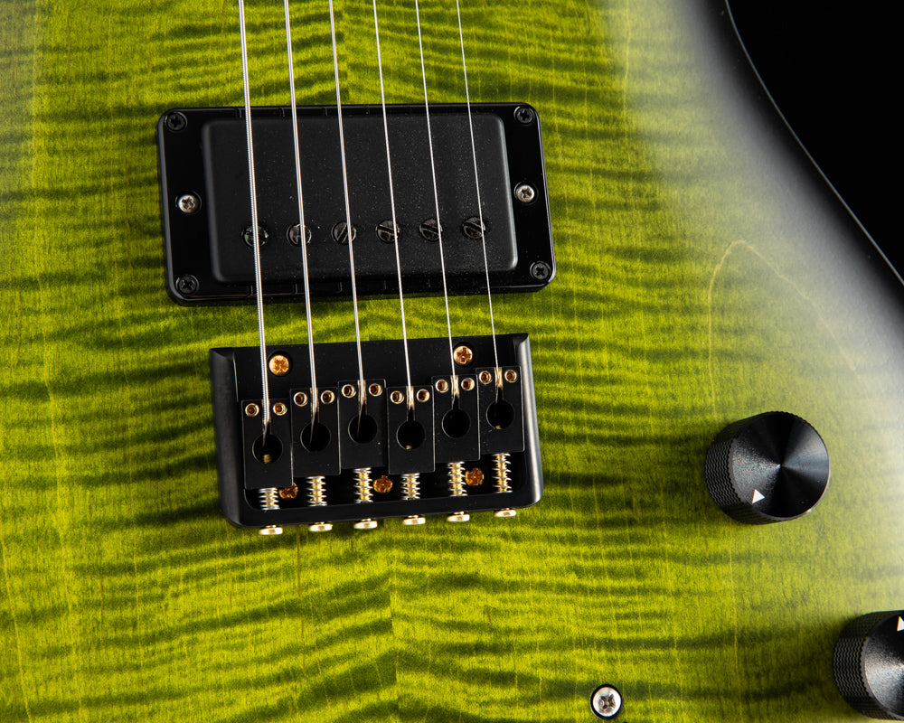 PRS DW CE 24 Floyd Dustie Waring Signature Jade Smokeburst Guitar