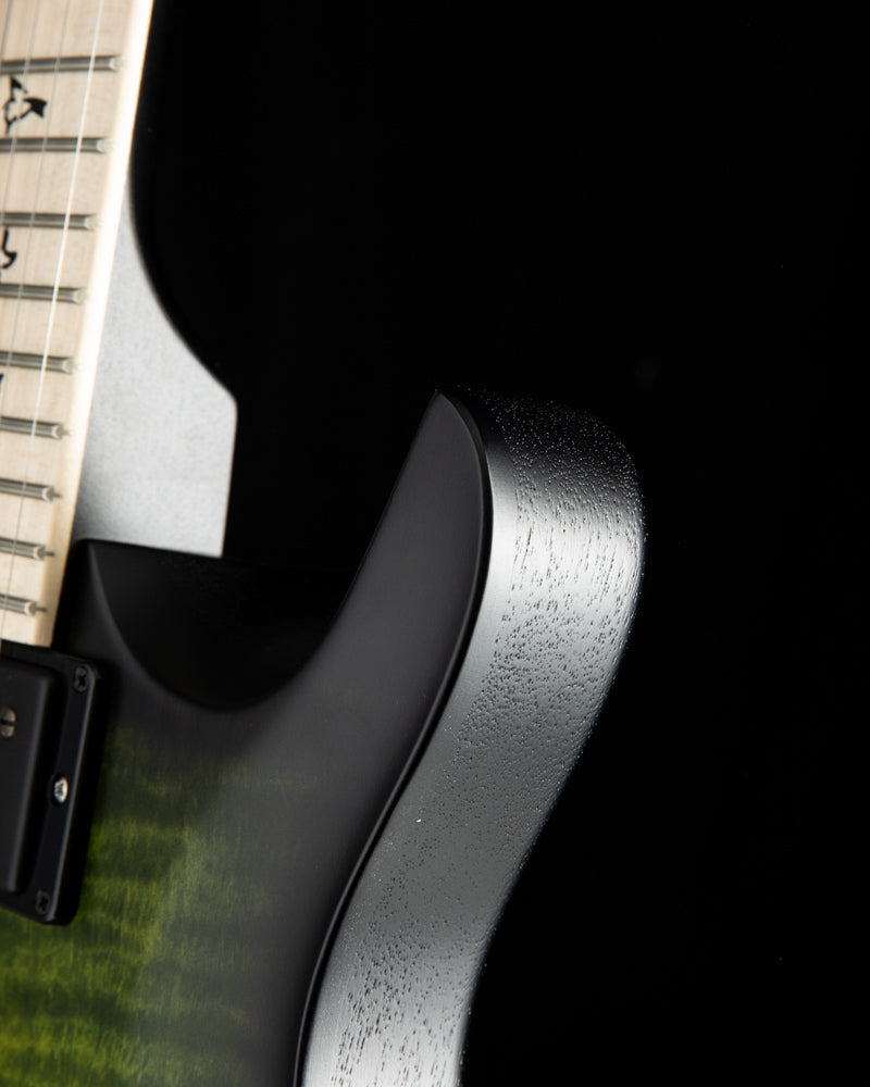 Paul Reed Smith DW CE 24 Hardtail Dustie Waring Signature Jade Smokebu