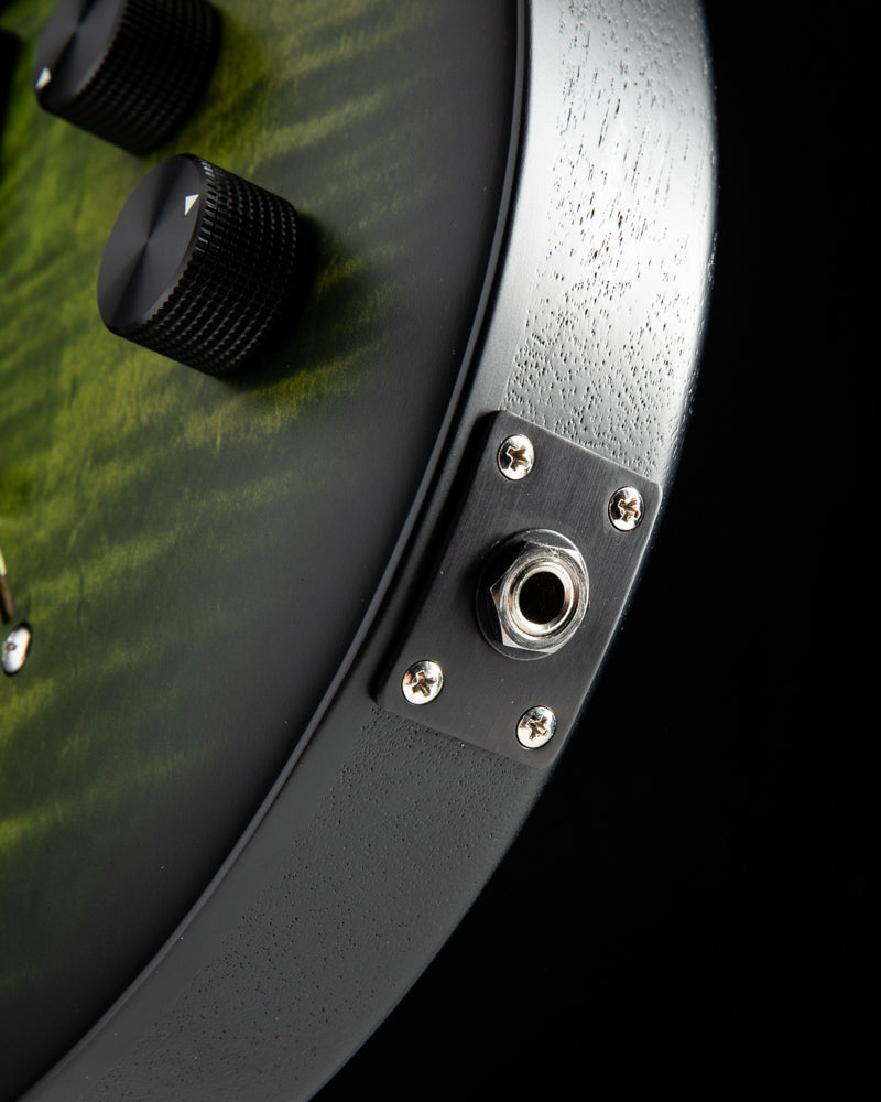 Paul Reed Smith DW CE 24 Hardtail Dustie Waring Signature Jade Smokebu