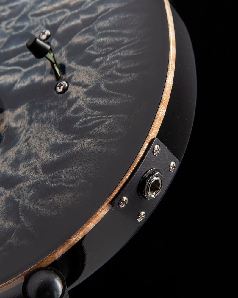 Paul Reed Smith Wood Library Custom 24 Fatback Faded Whale Blue Smokeb