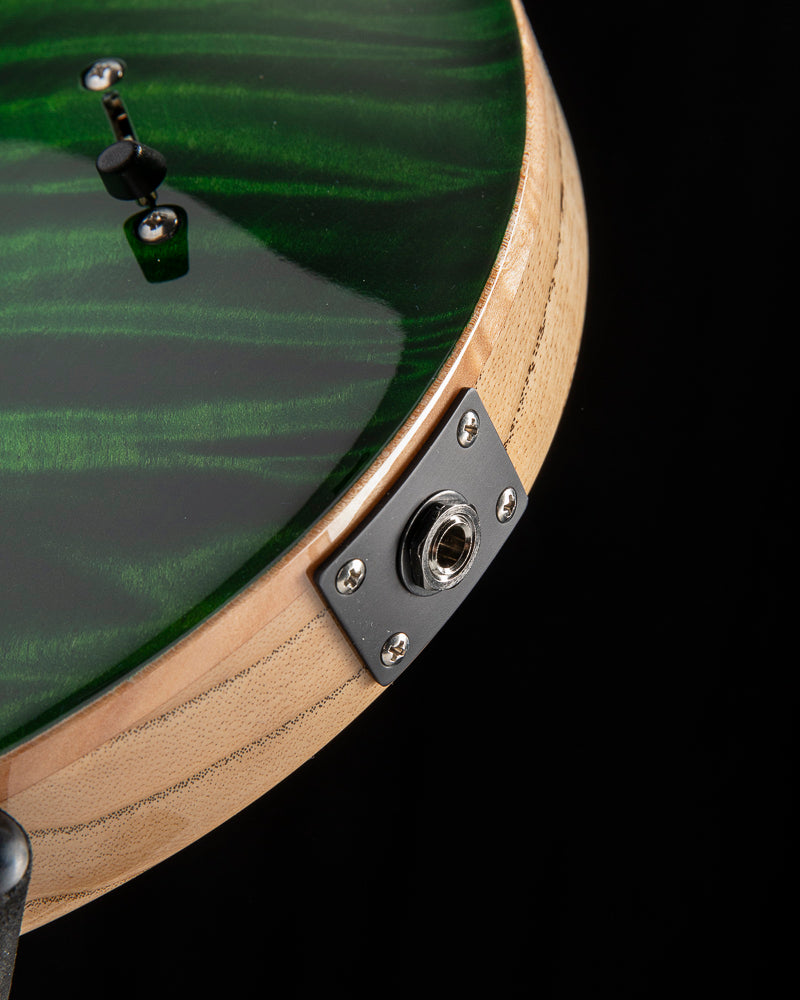 Paul Reed Smith Wood Library Custom 24 Fatback Brian's Limited Green F