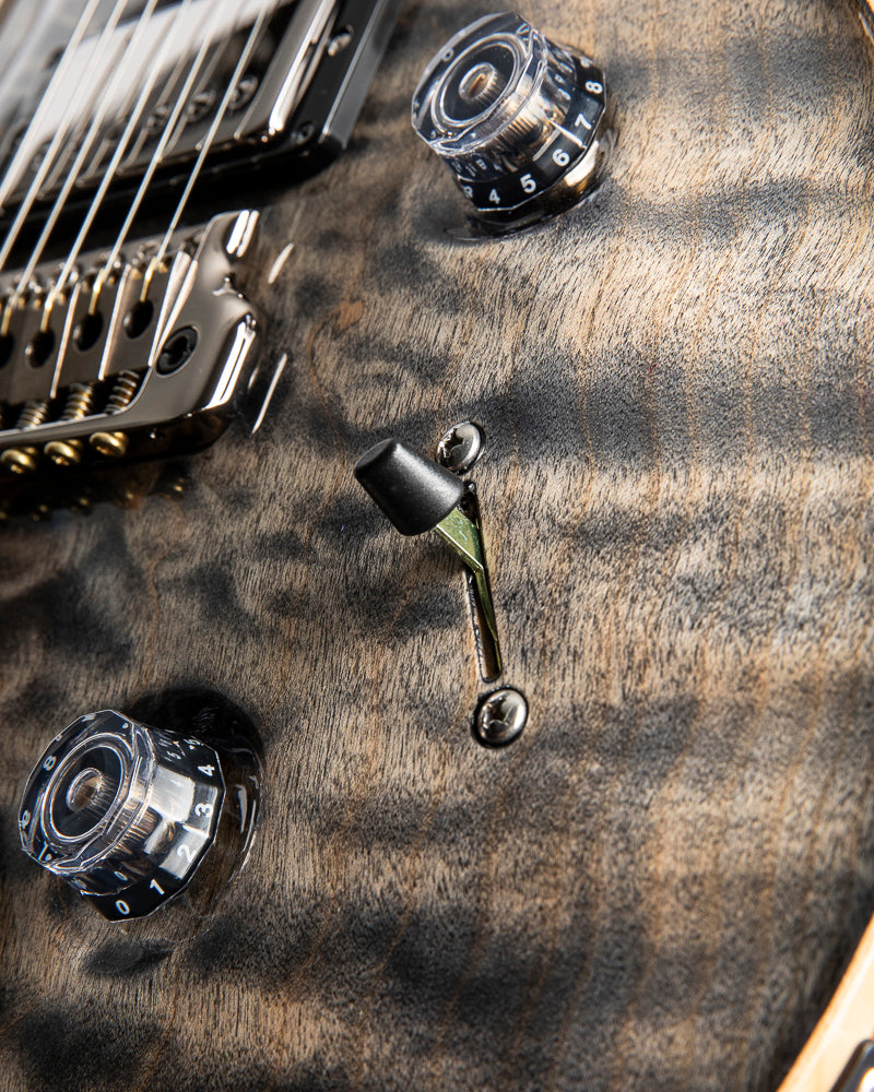 Paul Reed Smith Wood Library Custom 24 Fatback Brian's Limited Charcoa