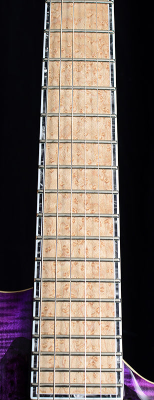 Used Mayones Regius 6 CoreGuard V24 Master Builder Collection Dirty Pu