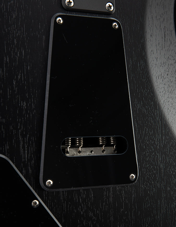 Used Paul Reed Smith DW CE 24 Floyd Dustie Waring Signature Waring Bur